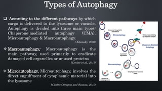 Cell death: Beneficial, Detrimental or No effect | PPT