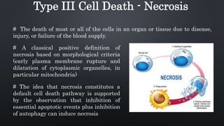 Cell death: Beneficial, Detrimental or No effect | PPT