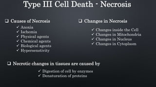 Cell death: Beneficial, Detrimental or No effect | PPT