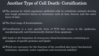 Cell death: Beneficial, Detrimental or No effect | PPT