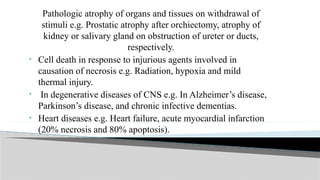 Cell etiology : Cell death and Apoptosis.pptx