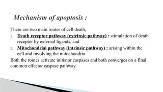 Cell etiology : Cell death and Apoptosis.pptx