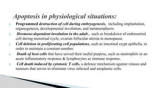 Cell etiology : Cell death and Apoptosis.pptx