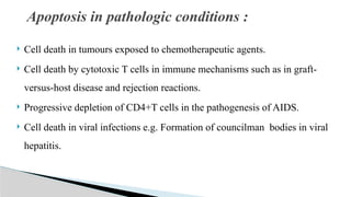Cell etiology : Cell death and Apoptosis.pptx