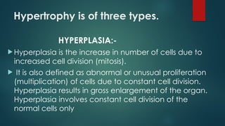 Cell death , Degeneration.pptx Cell Death cell Degeneration cell ...