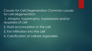 Cell death , Degeneration.pptx Cell Death cell Degeneration cell ...