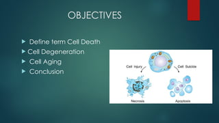 Cell death , Degeneration.pptx Cell Death cell Degeneration cell ...