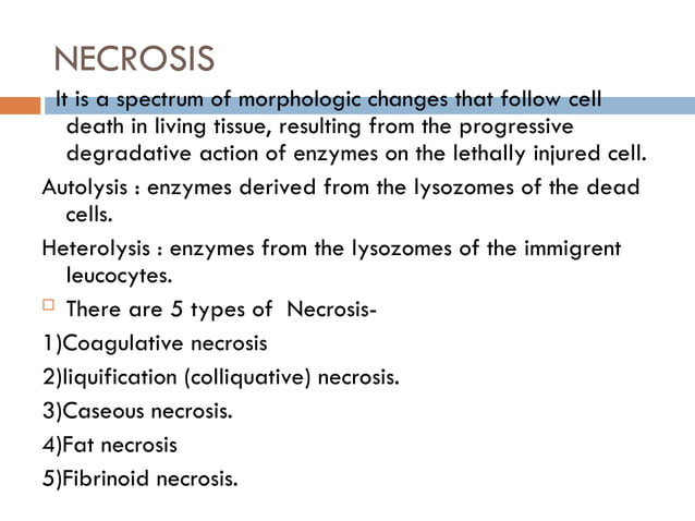 cell death & necrosis.pptddrghfddetygfdeee | PPT