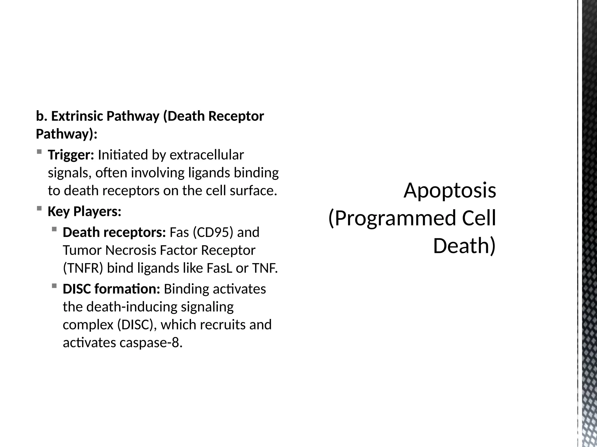 Cell death pathways- Dr.M.Jothimuniyandi | PPTX