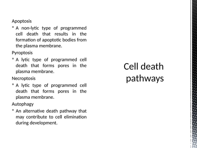 Cell death pathways- Dr.M.Jothimuniyandi | PPTX | Biological Sciences | Science