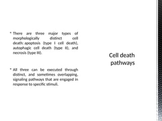 Cell death pathways- Dr.M.Jothimuniyandi | PPTX