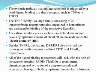 Cell death | PPTX