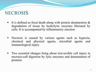 Cell death | PPTX
