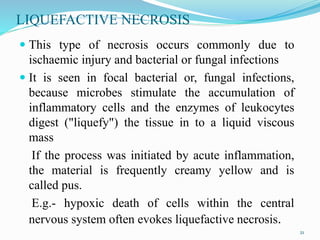 Cell death | PPTX