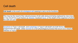 Cell death,regulators, apoptosis,necrosis,autophagy | PDF