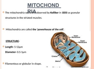 STRUCTURE OF THE CELL AND FEATURES OF CELL | PPTX