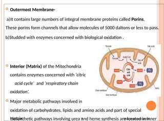 STRUCTURE OF THE CELL AND FEATURES OF CELL | PPTX