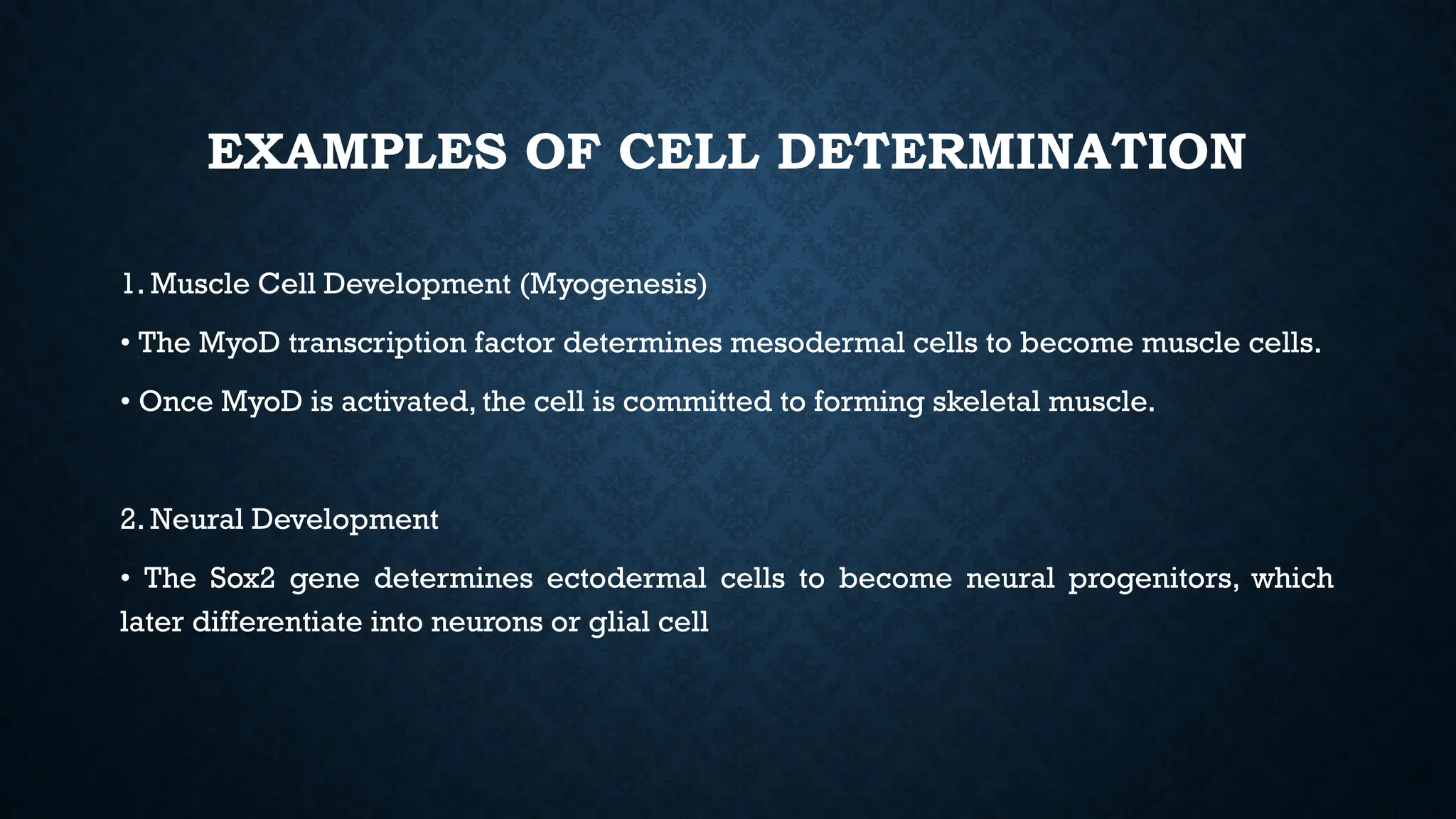 Cell determination and cell Memory- Cytology | PPTX
