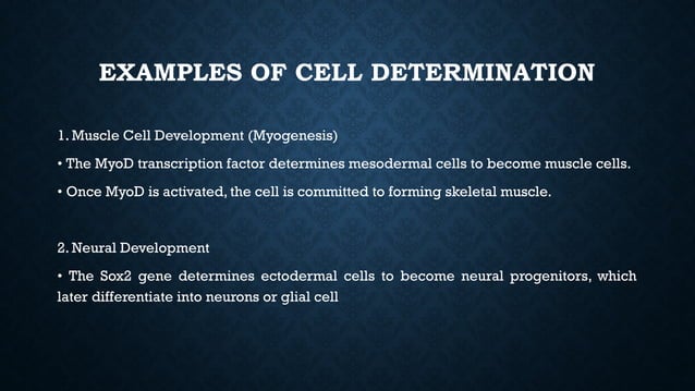 Cell determination and cell Memory- Cytology | PPT
