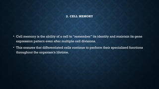 Cell determination and cell Memory- Cytology | PPT