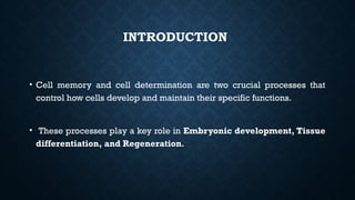 Cell determination and cell Memory- Cytology | PPT