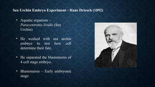Cell determination and cell Memory- Cytology | PPT