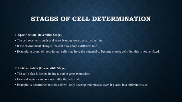 Cell determination and cell Memory- Cytology | PPT