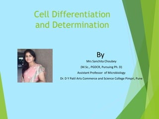 Cell determination and differentiation | PPTX