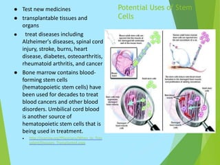 Cell determination and differentiation | PPTX