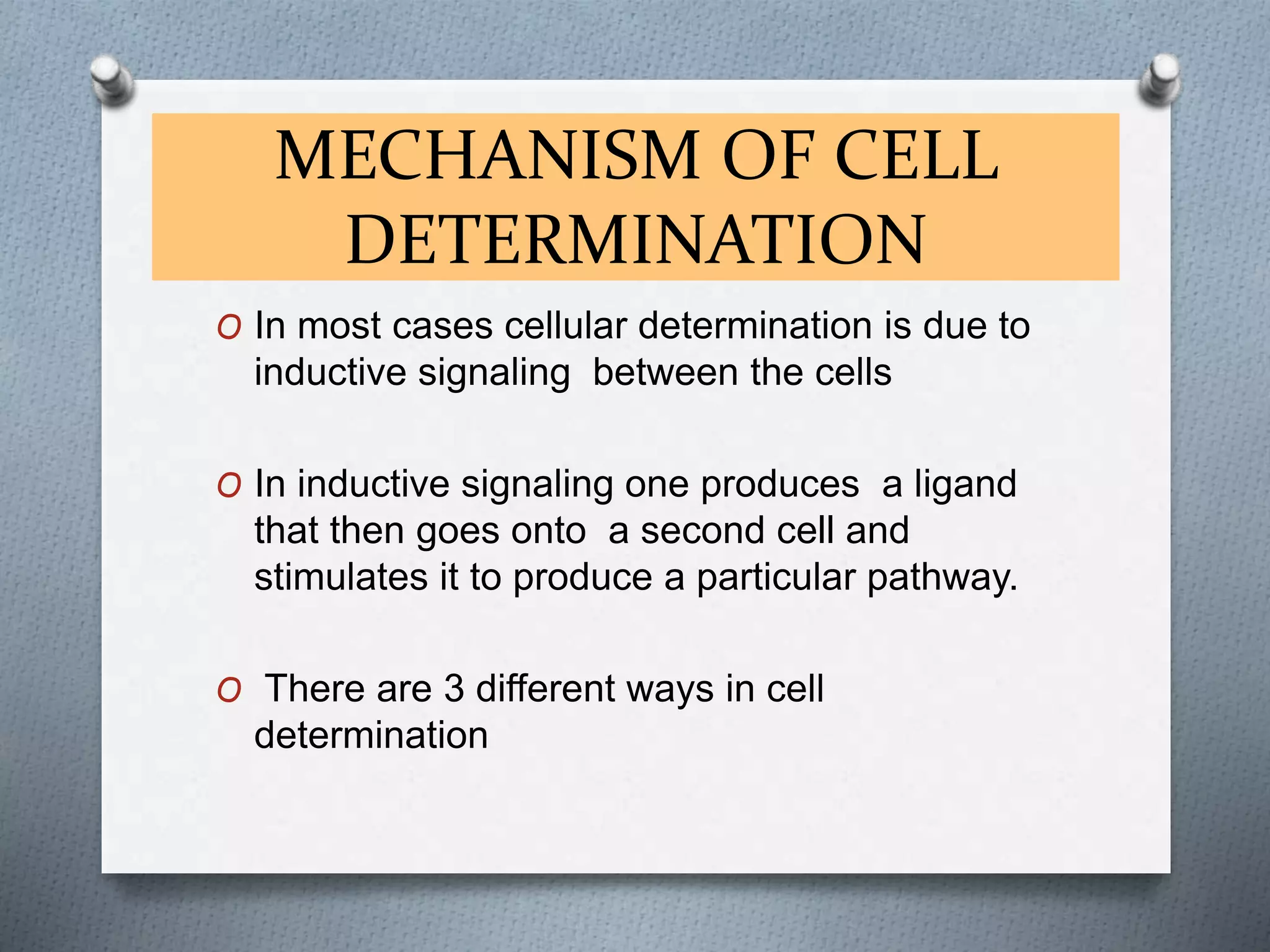 Cell determination and differentiation | PPTX