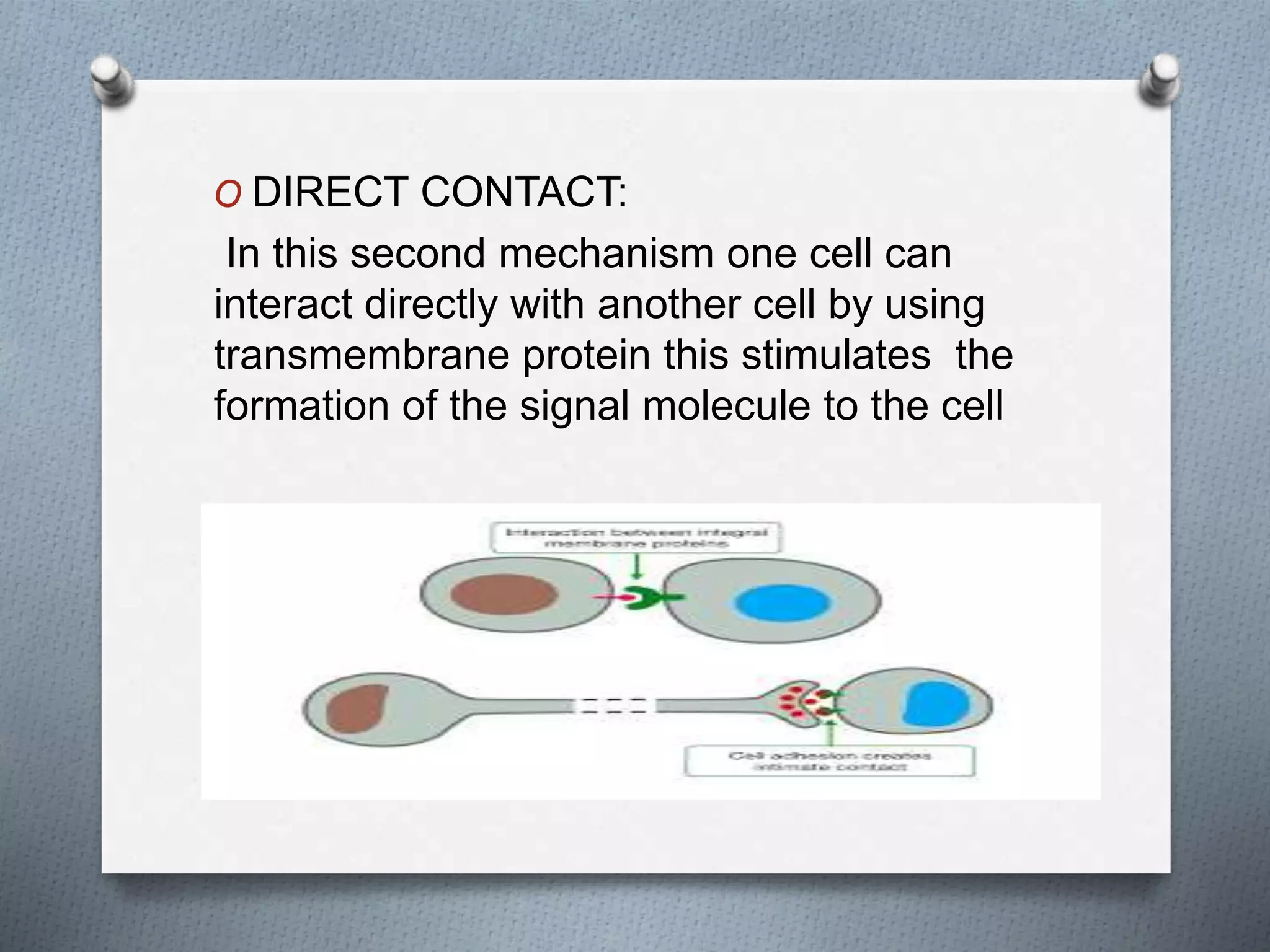 Cell determination and differentiation | PPTX
