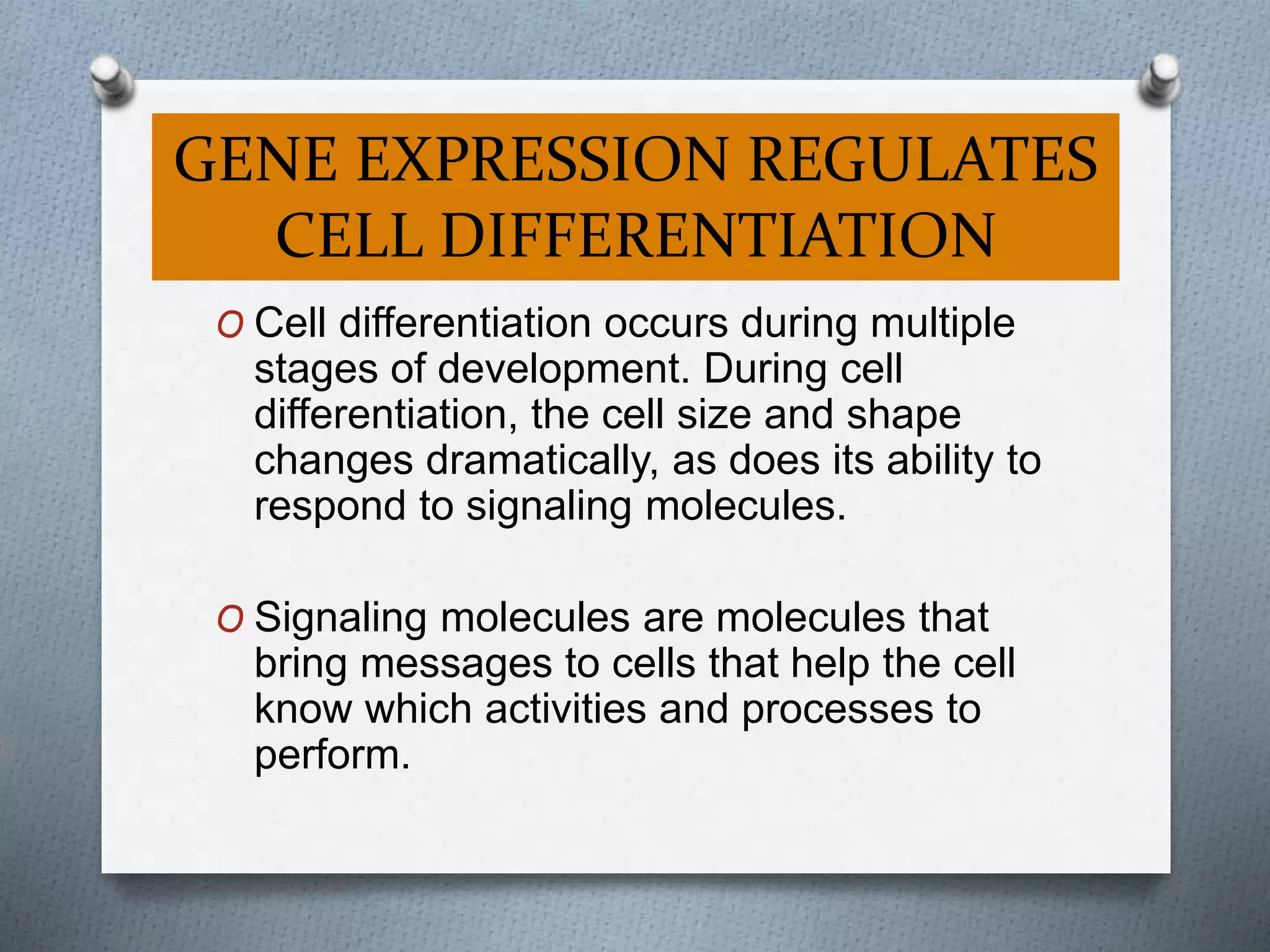 Cell determination and differentiation | PPTX