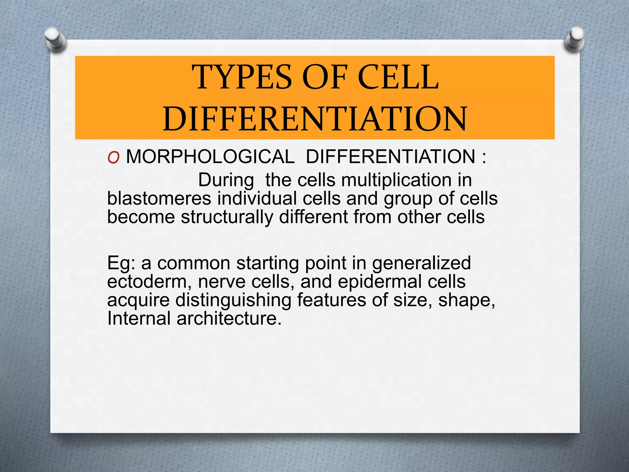 Cell determination and differentiation | PPTX