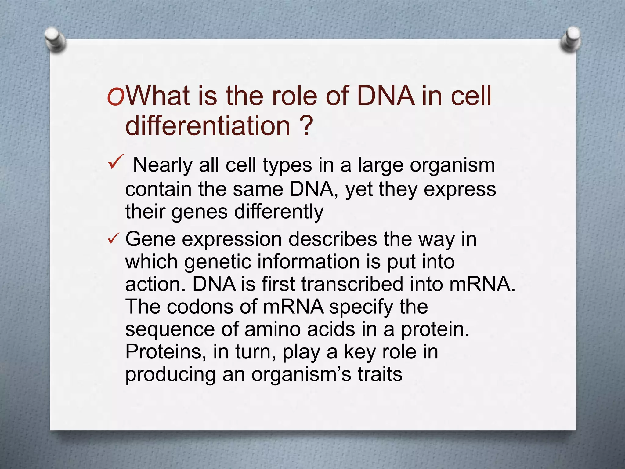 Cell determination and differentiation | PPTX