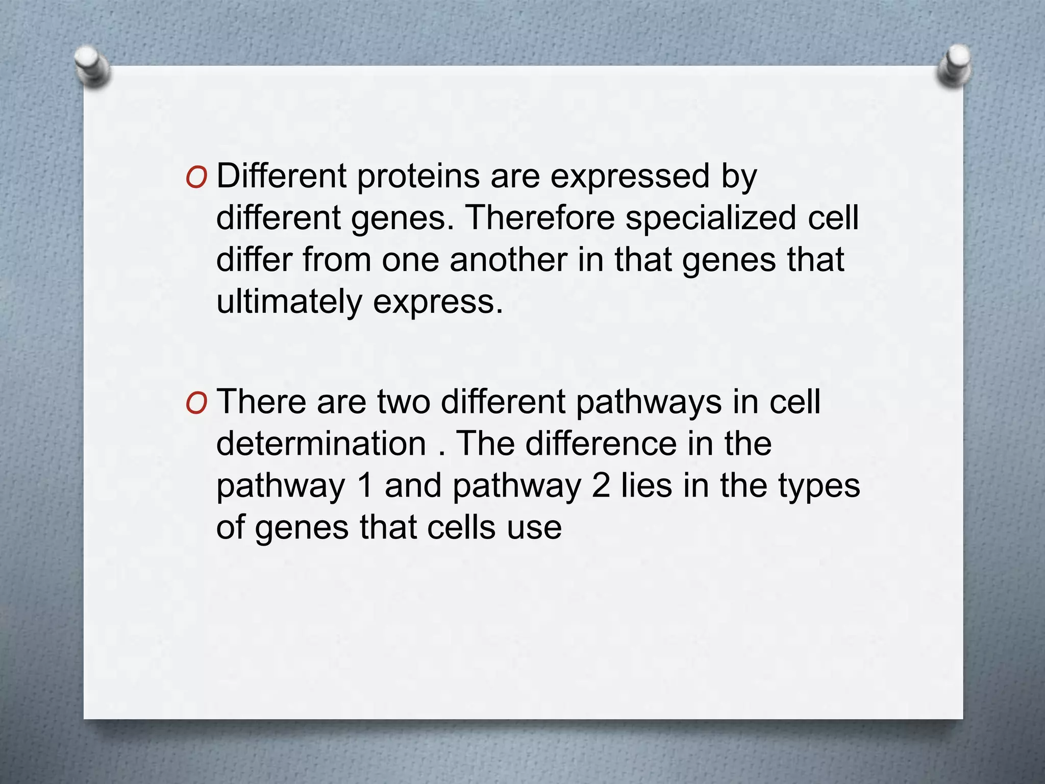 Cell determination and differentiation | PPTX