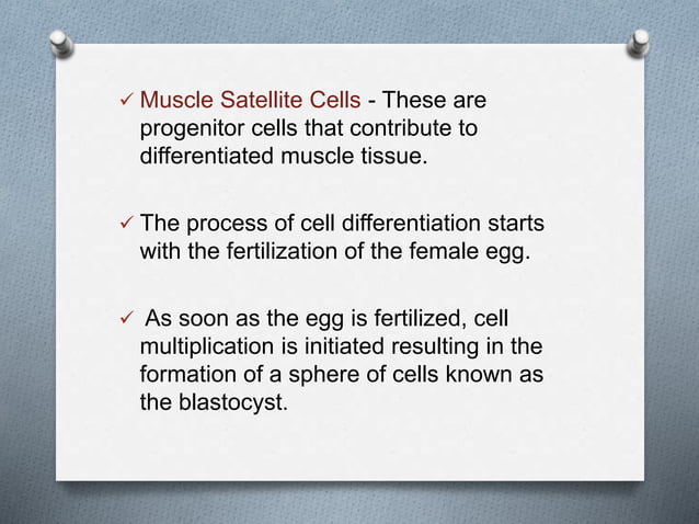 Cell determination and differentiation | PPTX | Genetics | Science
