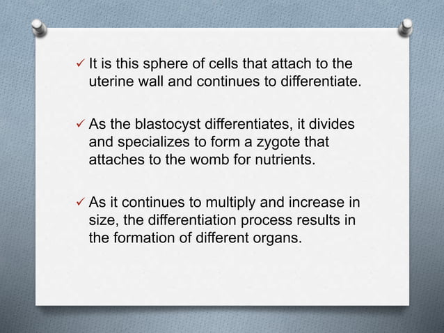 Cell determination and differentiation | PPTX | Genetics | Science