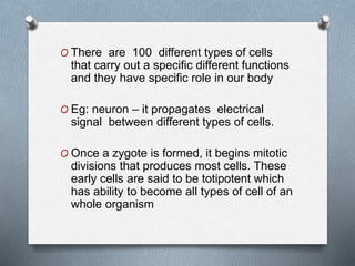 Cell determination and differentiation | PPTX