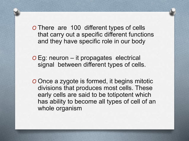 Cell determination and differentiation | PPTX | Genetics | Science