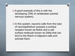 Cell determination and differentiation | PPTX