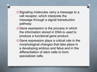 Cell determination and differentiation | PPTX