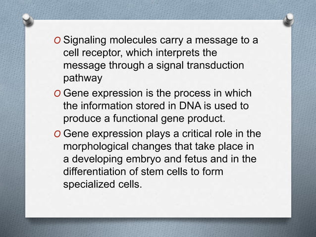 Cell determination and differentiation | PPTX | Genetics | Science