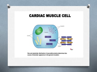 Cell determination and differentiation | PPTX
