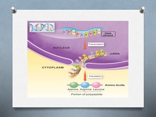 Cell determination and differentiation | PPTX