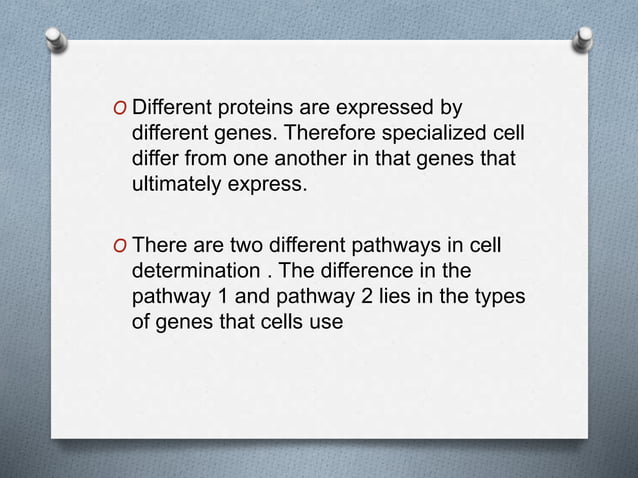 Cell determination and differentiation | PPTX | Genetics | Science