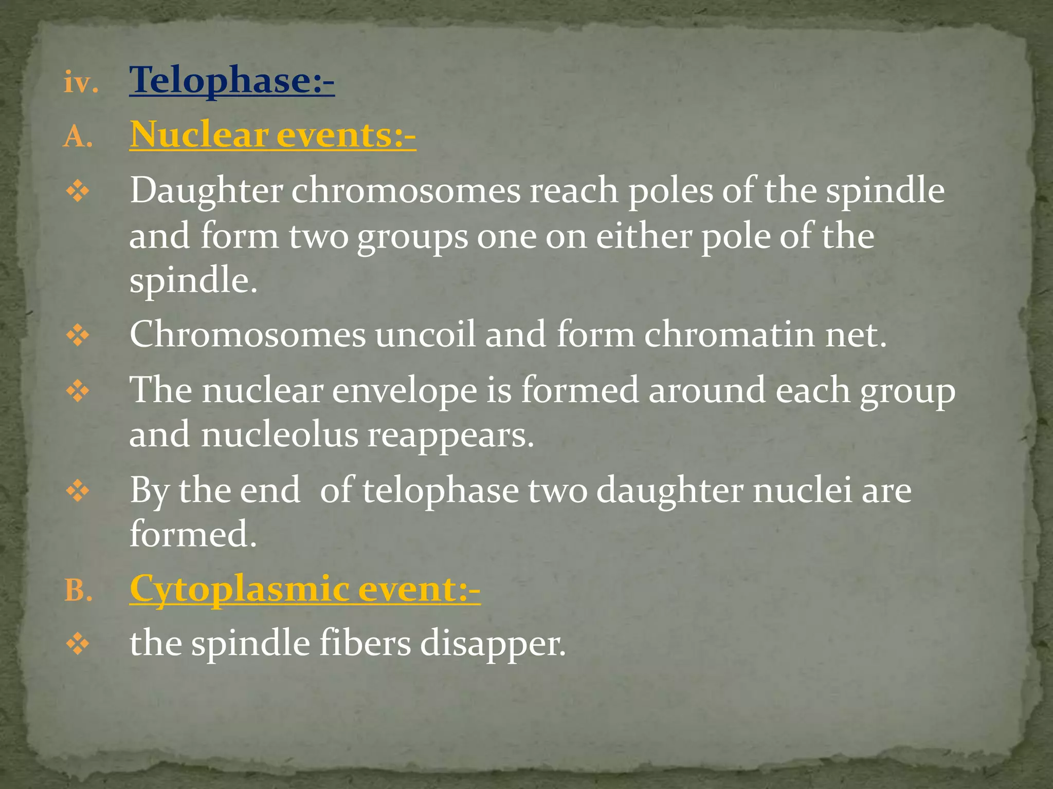 Cell devision(mitosis) | PPTX
