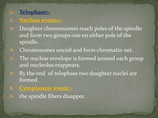Cell devision(mitosis) | PPTX