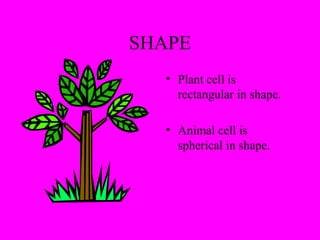 Cell differences plant & animal | PPT