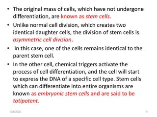 cell differentation.pptx
