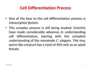 cell differentation.pptx